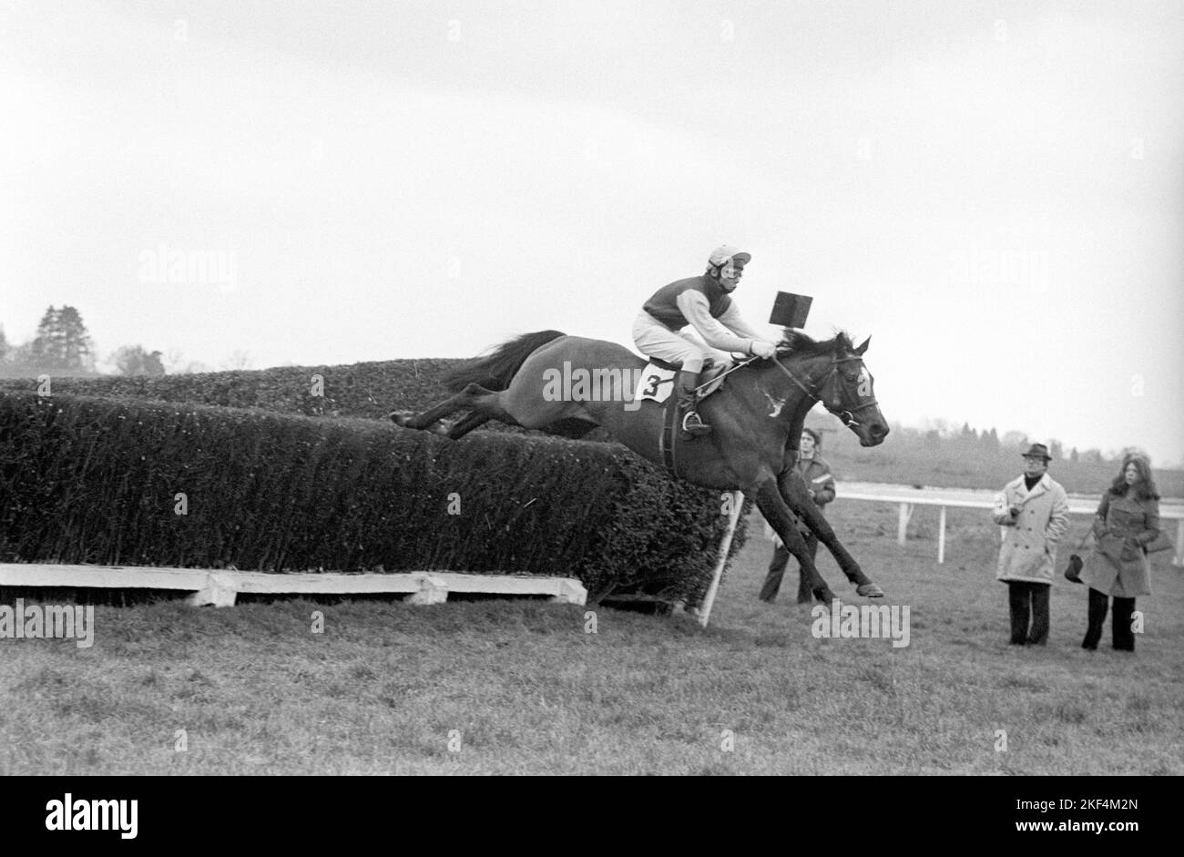 Bachelor's Hall, with John Francome up, takes the last fence to win ...