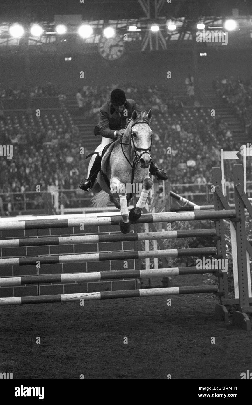 David Broome of Great Britain on his horse Philco Stock Photo - Alamy
