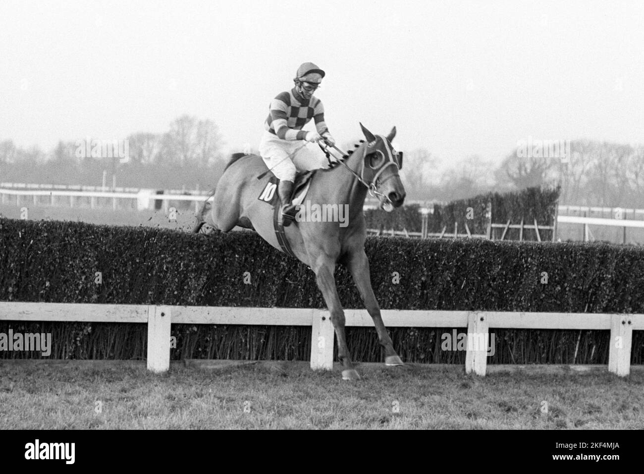 Lord Oaksey (John Lawrence) clears a fence during the Windsor Copper ...