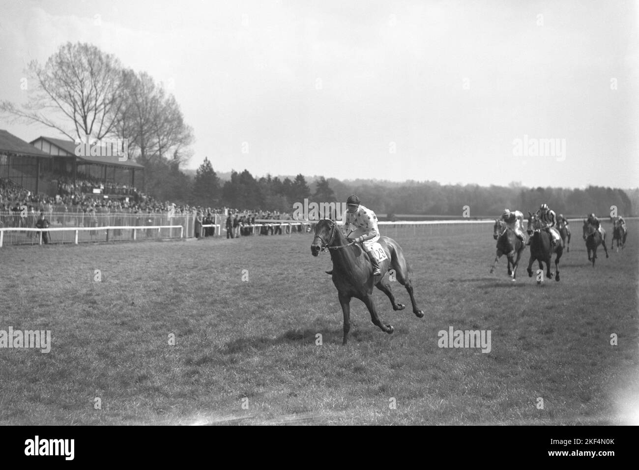 'Hypnotist', with Billy Nevett up, winning the Derby Trial Stakes at ...