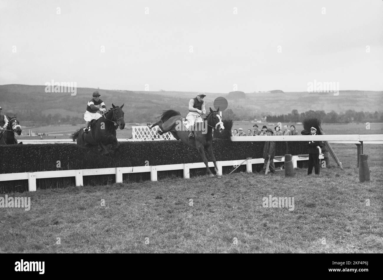 Mr David Brown's "Lindwell" (9, Michael Scudamore) taking the last ...