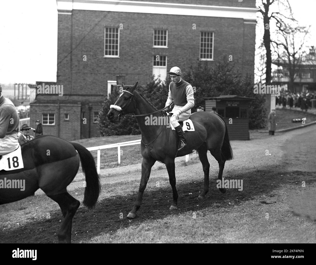 A new picture of Mr Hugh Summers' "Hall Weir" (with jockey William Rees ...