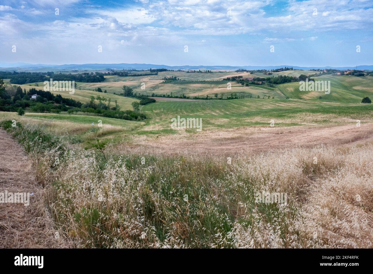 Landscape along via Francigena path between Siena and Ponte d'Arbia ...