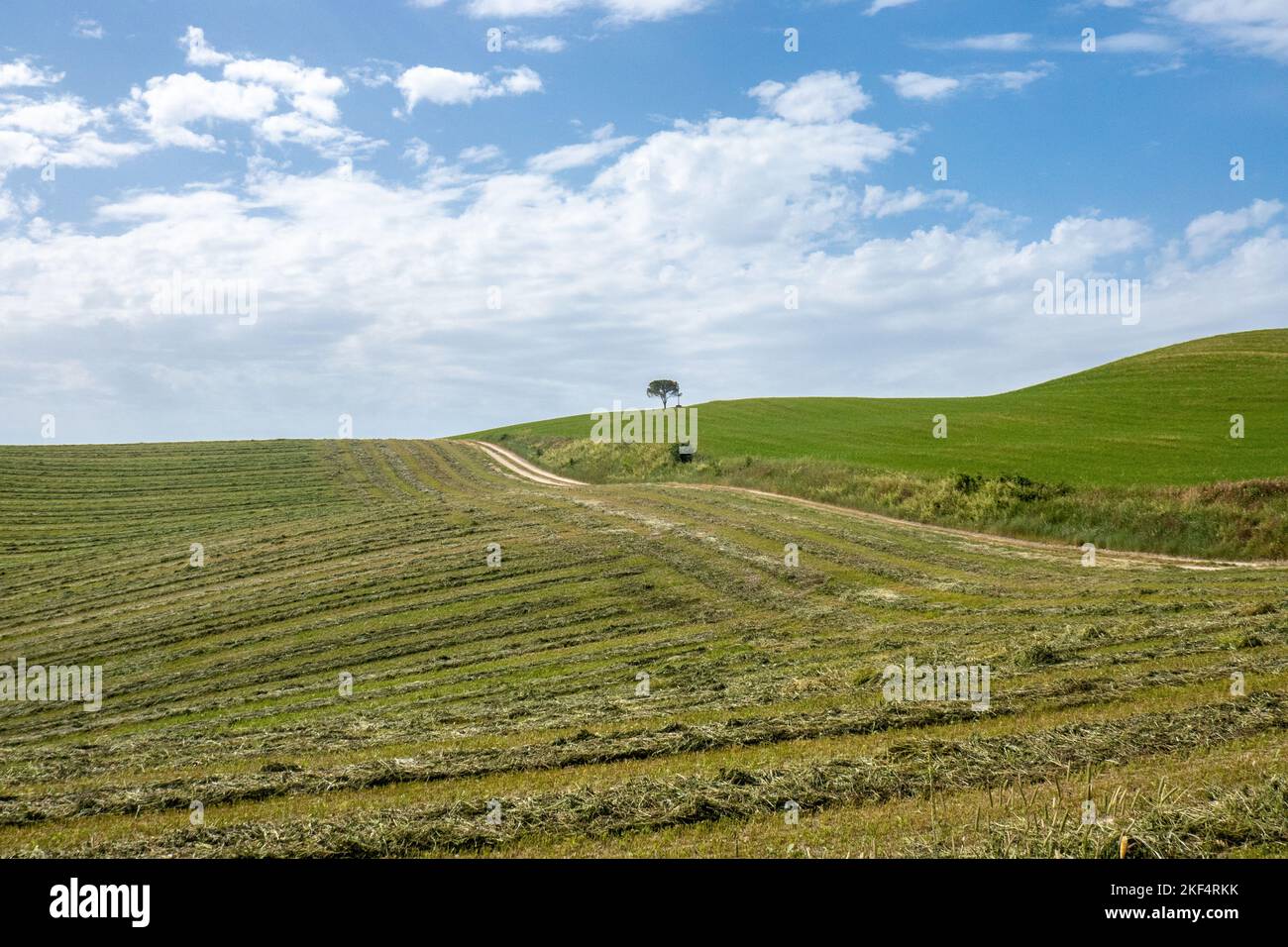 Landscape along via Francigena path between Siena and Ponte d'Arbia ...
