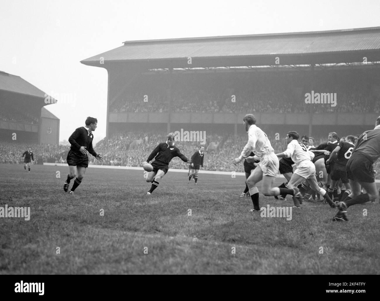 New Zealand's Chris Laidlaw kicks the ball up field Stock Photo - Alamy