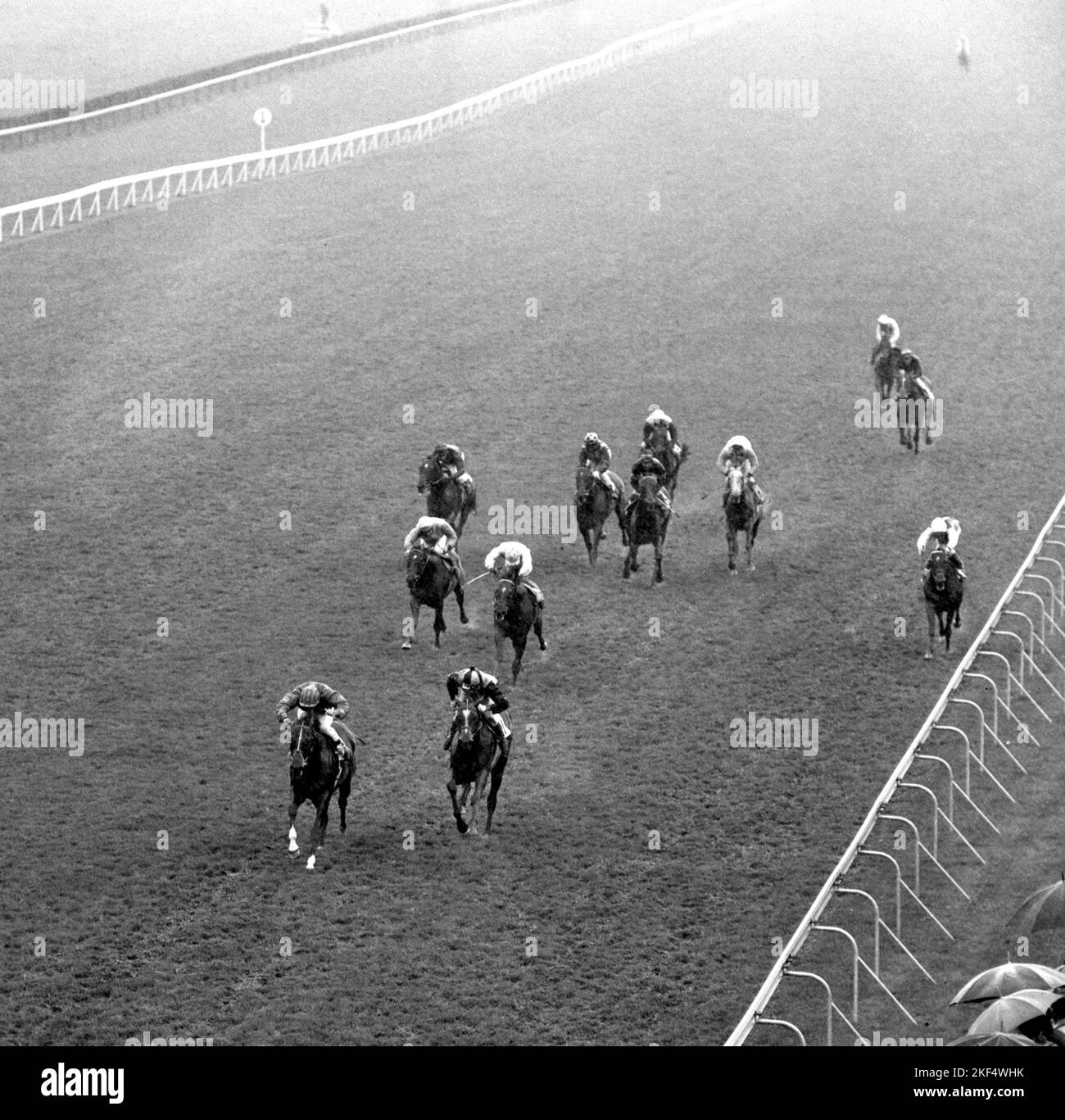Sir Jules Thorn's High Top (left), Willie Carson up, winning from ...