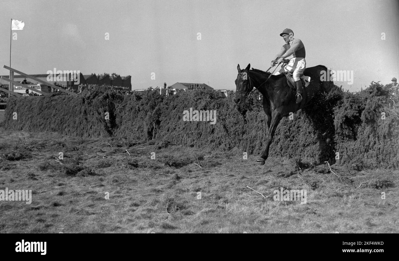 'Prince Regent' (Tim Hyde up) taking the last fence Stock Photo - Alamy
