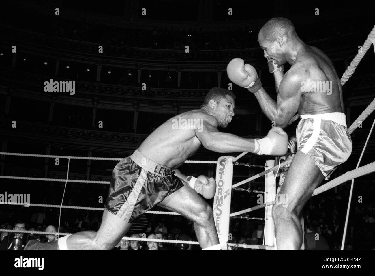 Action from the Lennox Lewis v Melvin Epps heavyweight boxing bout. Epps was disqualified for ...