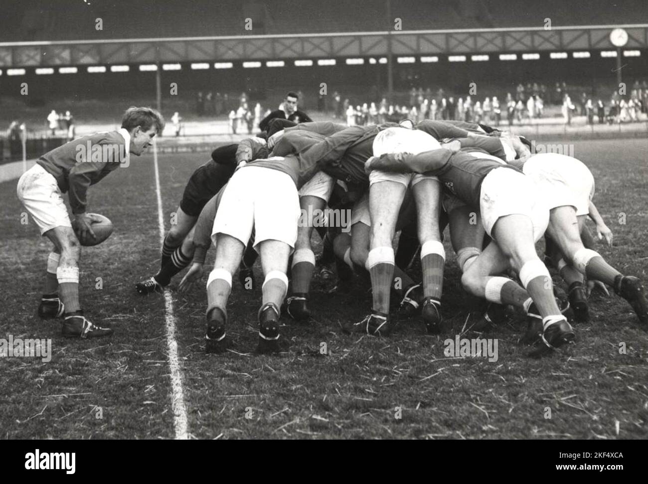 P. J. Davies, Army scrum half, is stood in touch, as he feeds the scrum ...