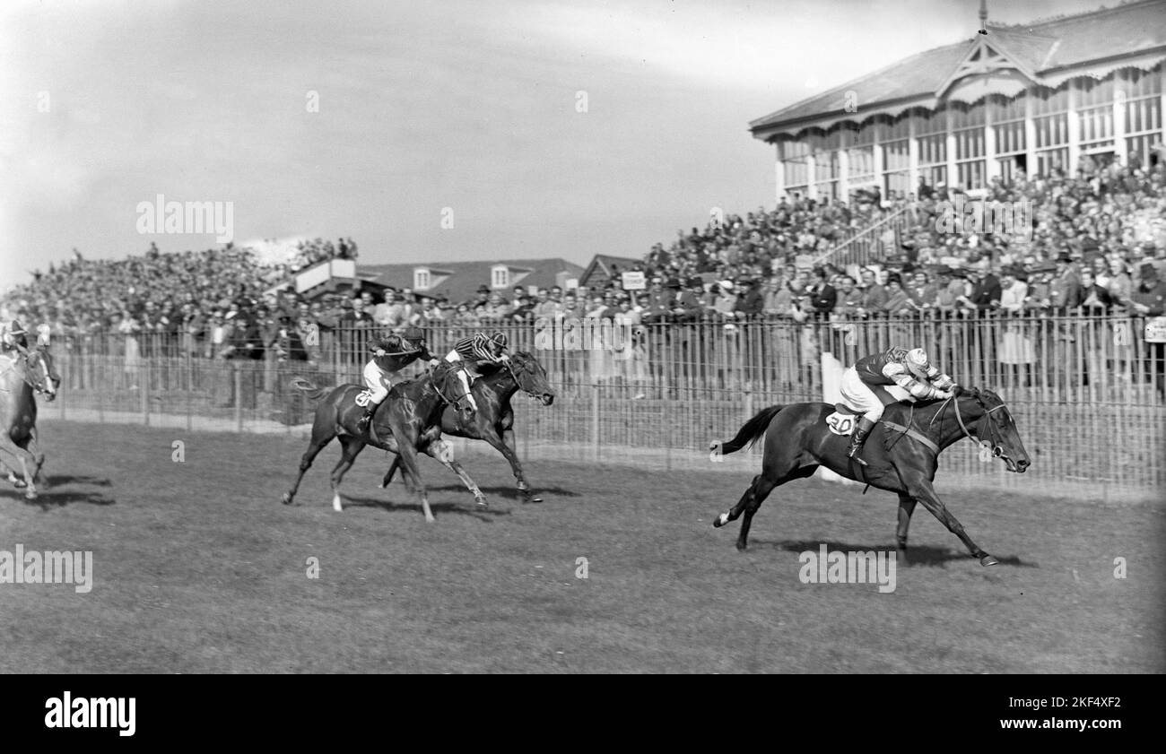 The finish won by Mrs Thurston's Royal Speech (Gosling up) from Canny ...