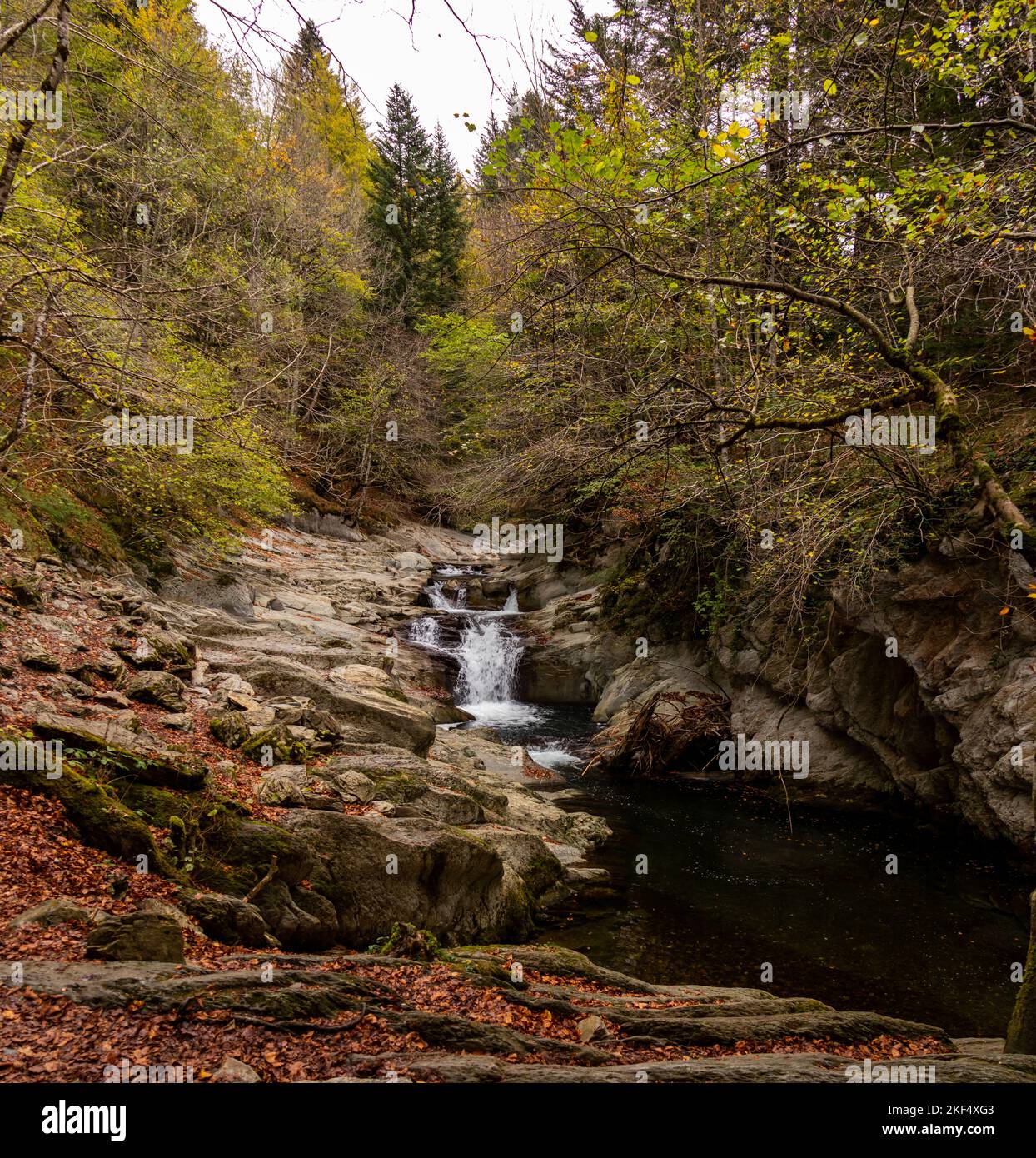 Cascada del cubo en la Selva de Irati. Pirineo navarro, España Stock ...