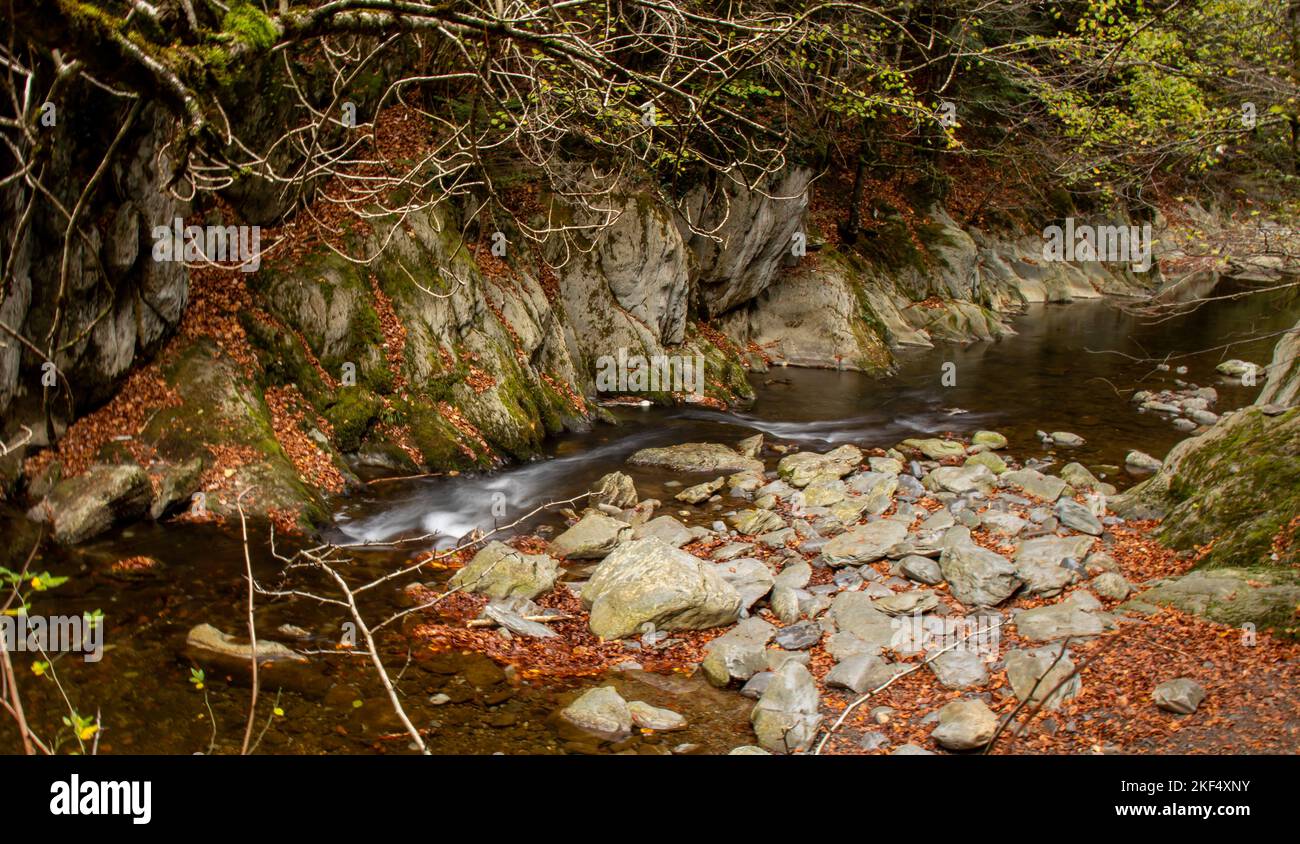 Selva de Irati, paraíso otoñal. Ruta de la Cascada del Cubo. Pirineo ...