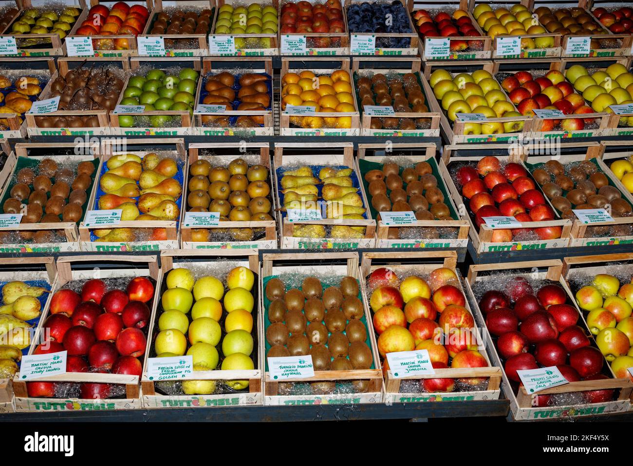 Cavour, Piedmont, Italy - November 5, 2022: Different types of apples ...