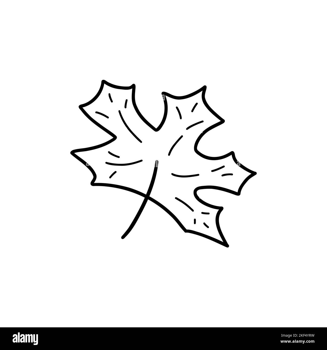 Autumn fallen maple leaf. Black and white vector isolated illustration ...