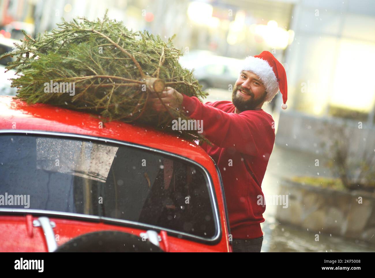 young man in a red sweater and a Santa hat is tying a Christmas tree to ...