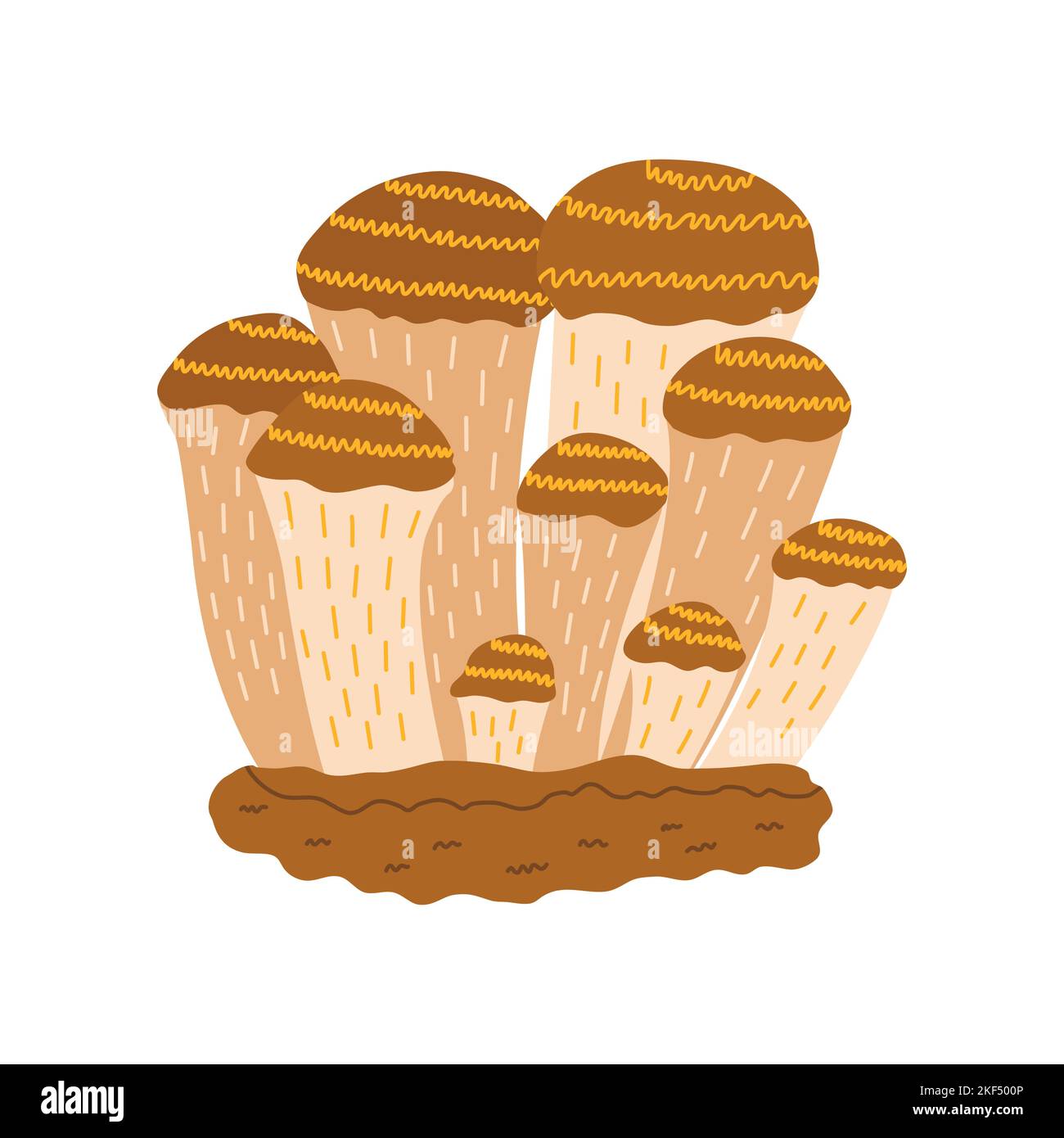 Family of fairy mystery mushrooms. Colorful vector isolated ...