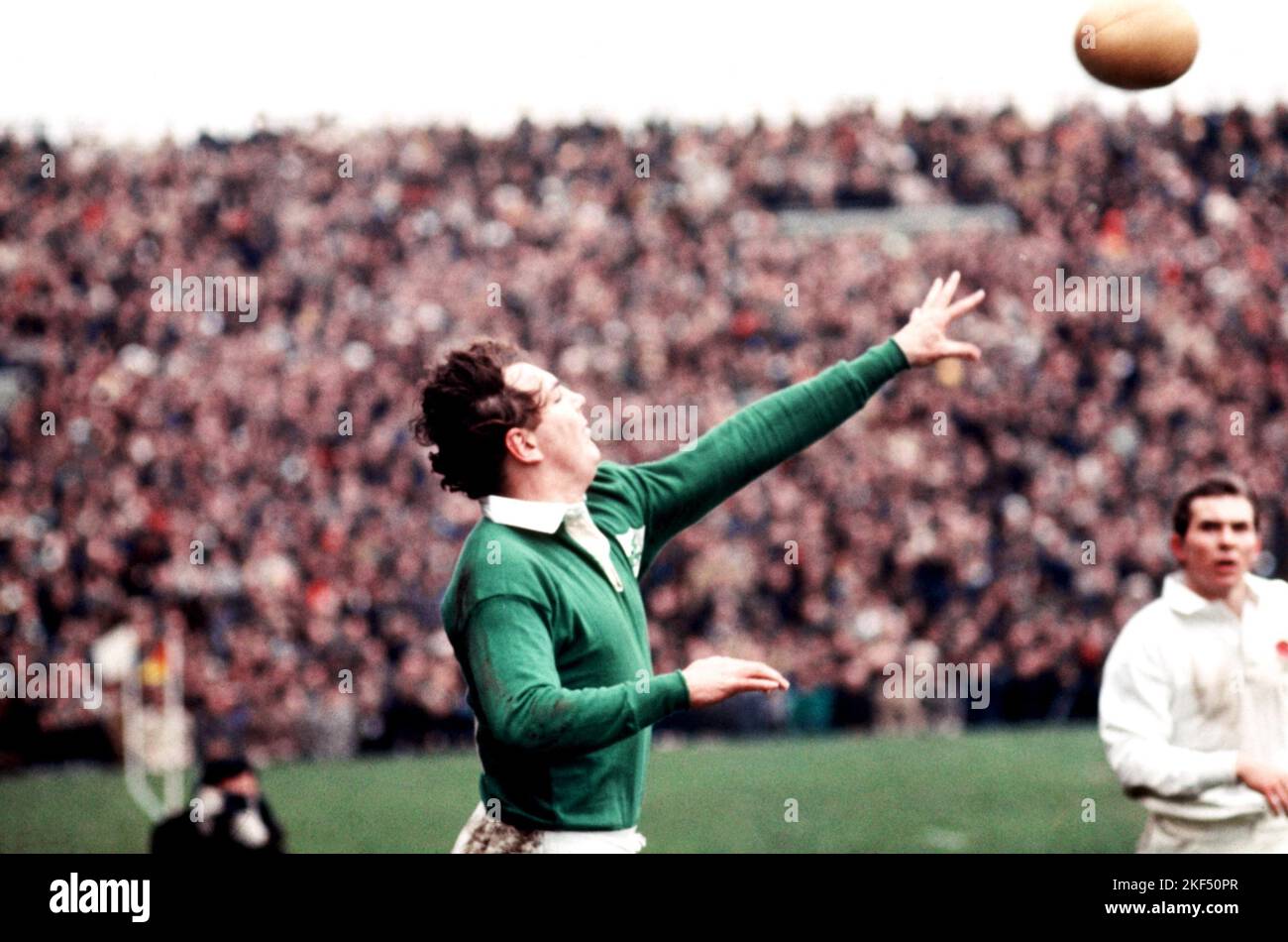 Ireland's Tony O'Reilly throws in at a line out Stock Photo - Alamy