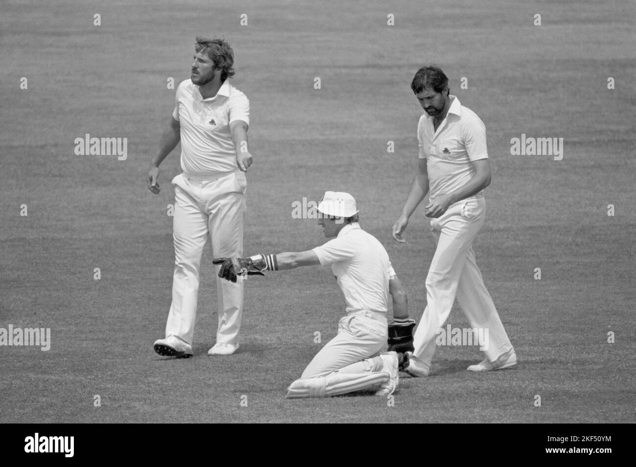 (L-R) England's Ian Botham and Bob Taylor appeal as teammate Graham ...