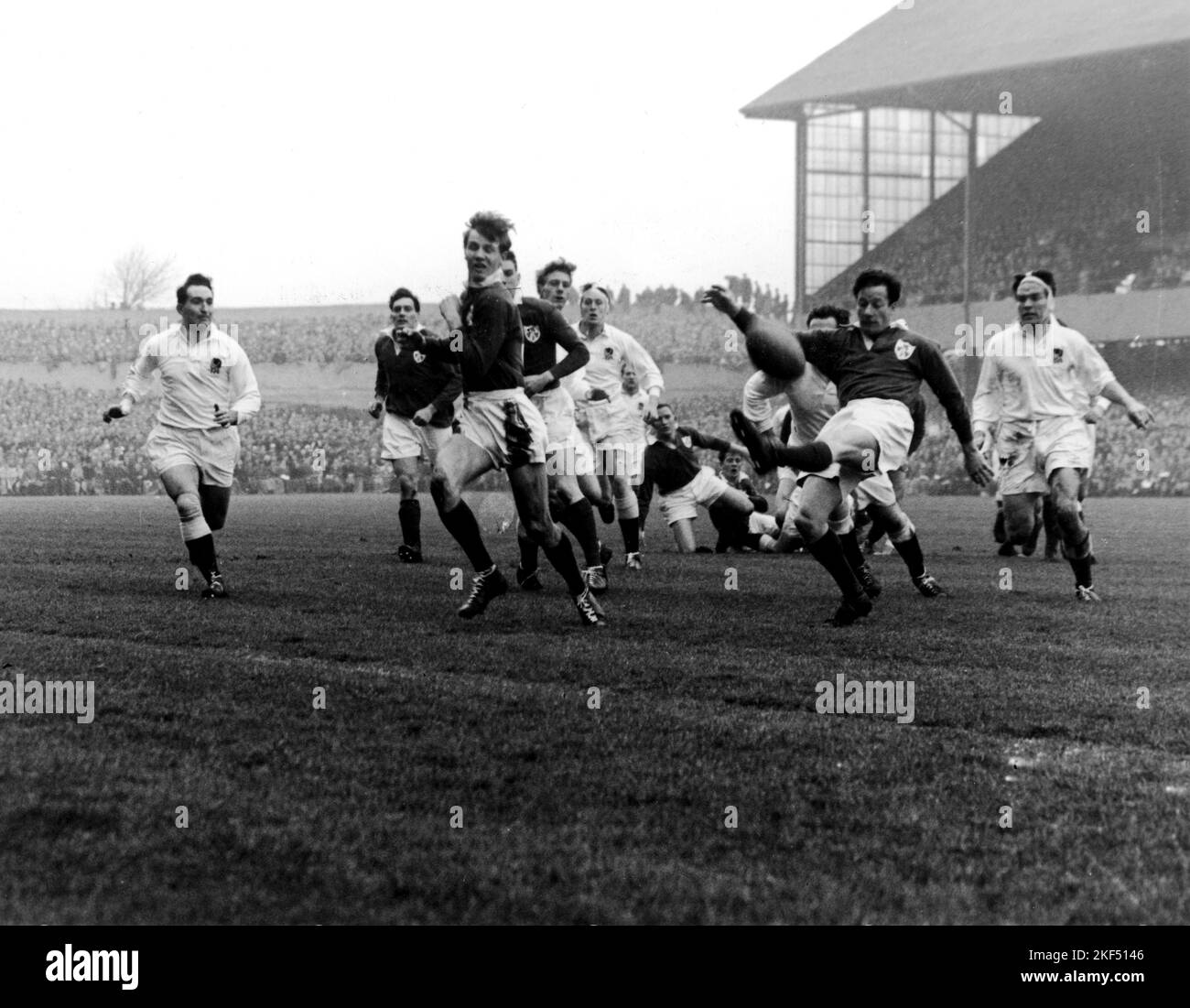 Ireland's Jackie Kyle (r) kicks clear Stock Photo - Alamy