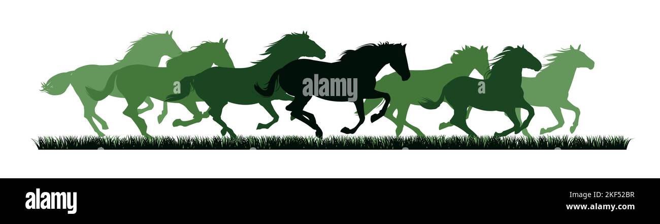 Herd of horses gallops fast. Image silhouette. Wild and domestic ...