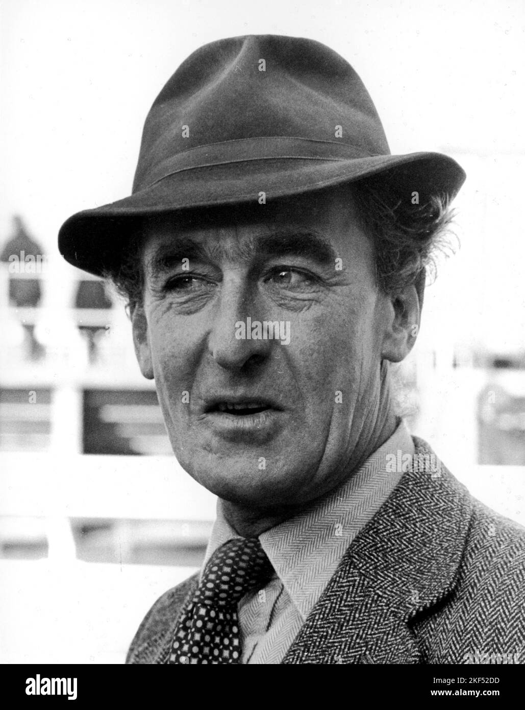 Trainer Josh Gifford Stock Photo - Alamy