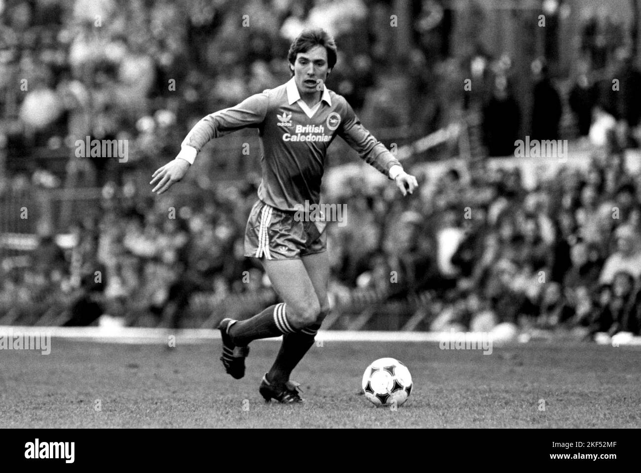 Steve Gatting, Brighton and Hove Albion Stock Photo - Alamy