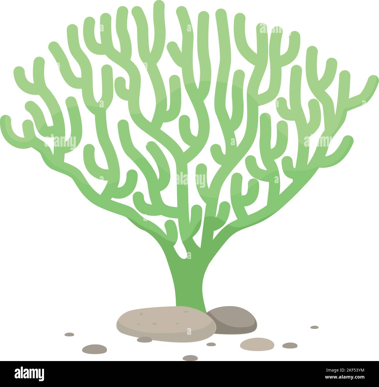 Underwater Coral Polyp Green Reef Cartoon Icon Stock Vector Image