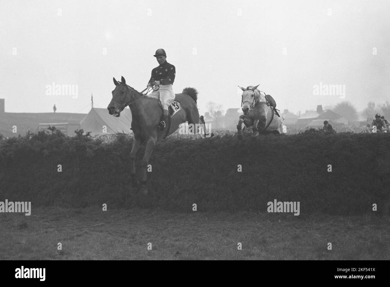 Harry Lane's 'Teal' (A.P. Thompson up) leads the field at the 17th ...