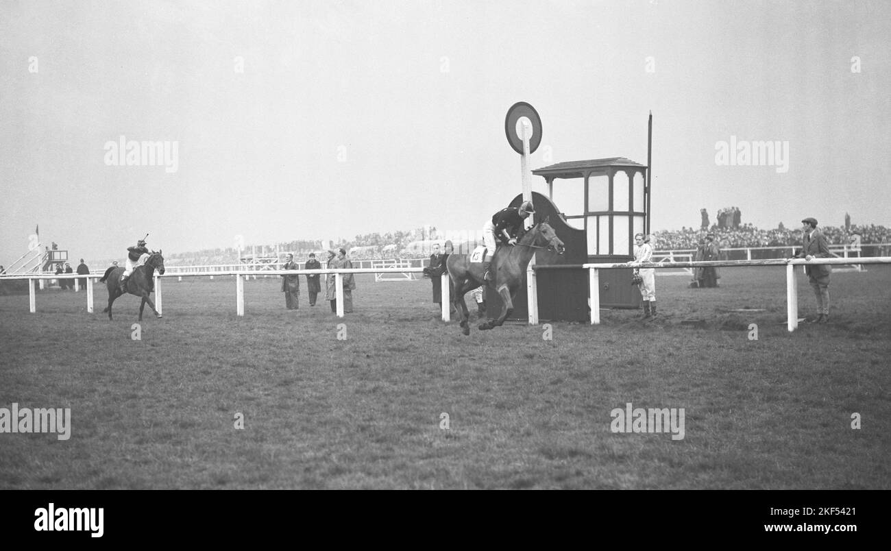 Finish of the Grand National with Harry Lane's 'Teal' (A.P. Thompson up ...