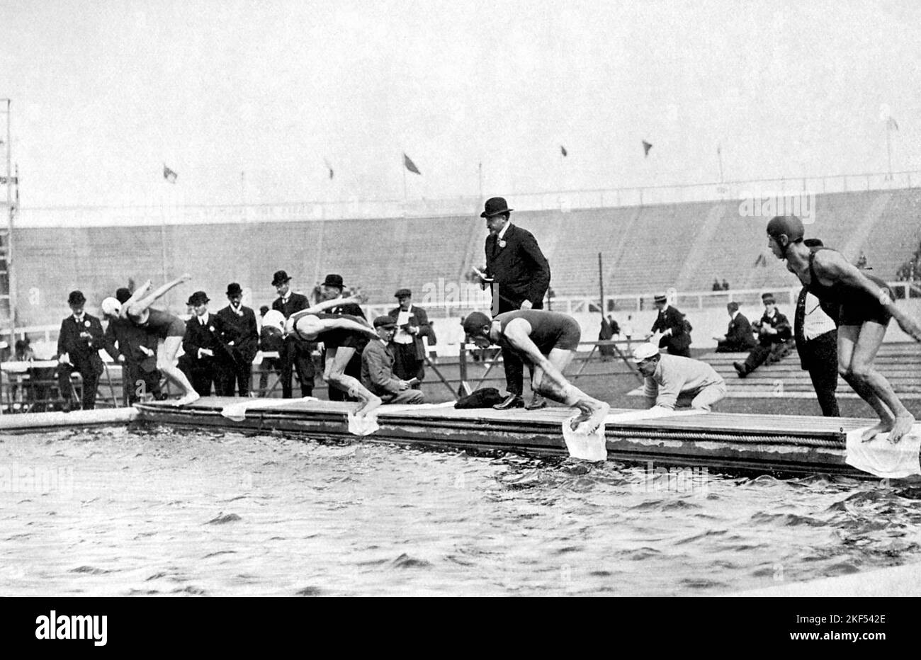 The competitors dive in at the start of the final Stock Photo - Alamy