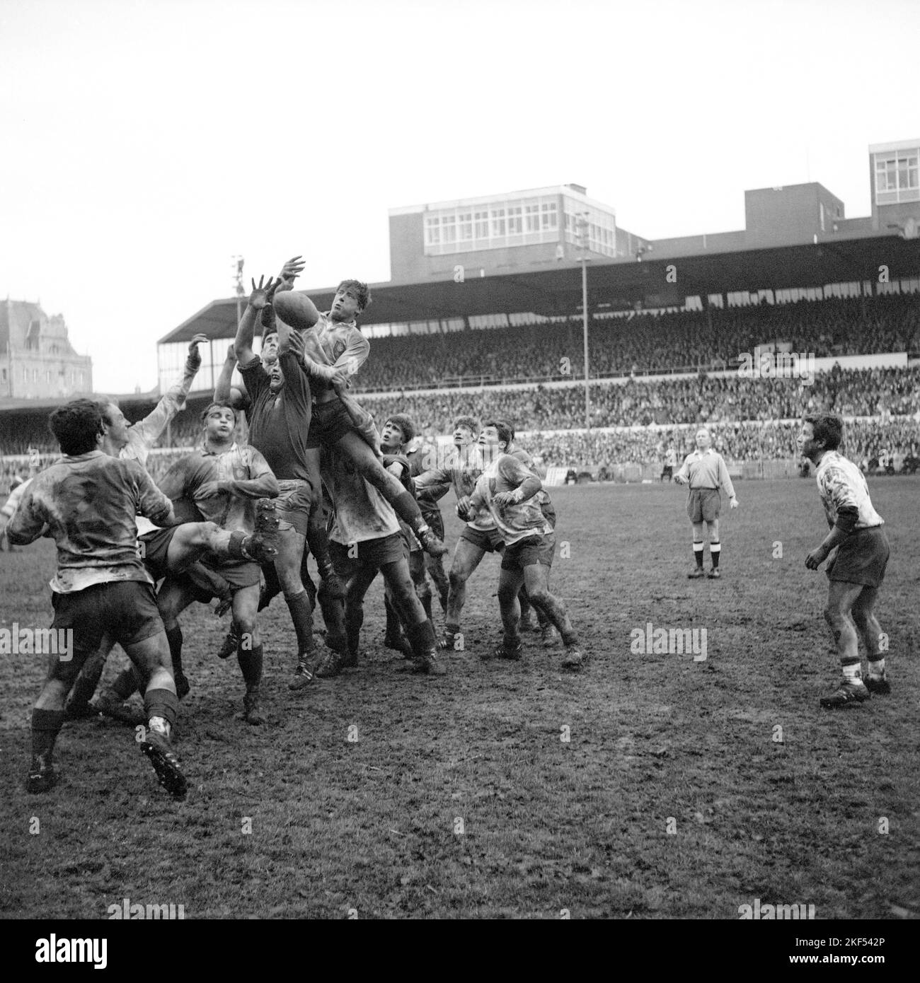 France win the ball in a line out Stock Photo - Alamy