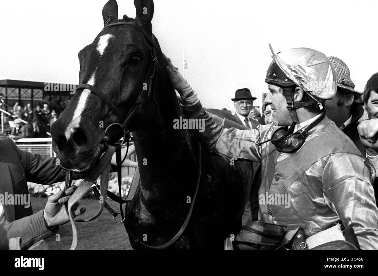 The winning horse See You Then with jockey Steve Smith-Eccles Stock ...