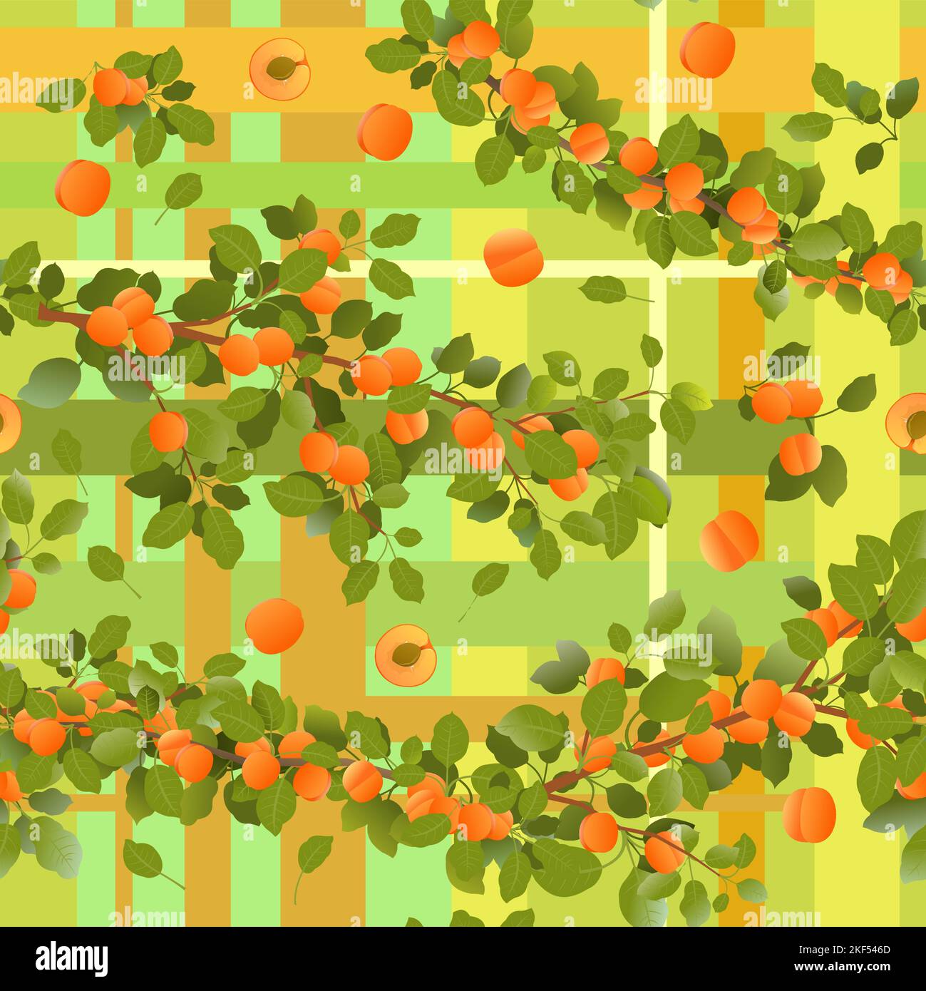 Branches apricot tree with ripe fruits. Background picture. Garden ...