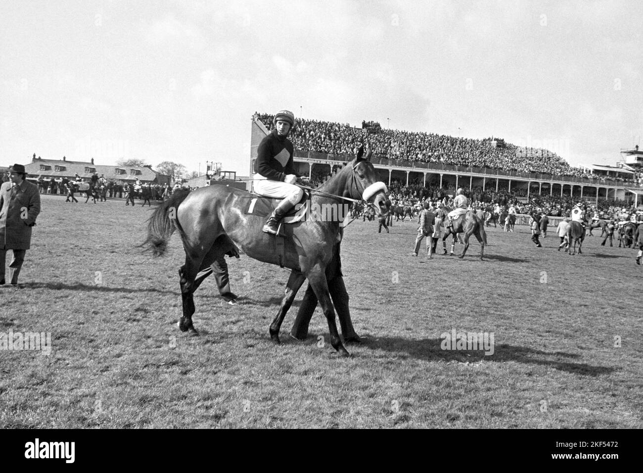 Red Rum with Tommy Stack aboard parading before the start of the race ...