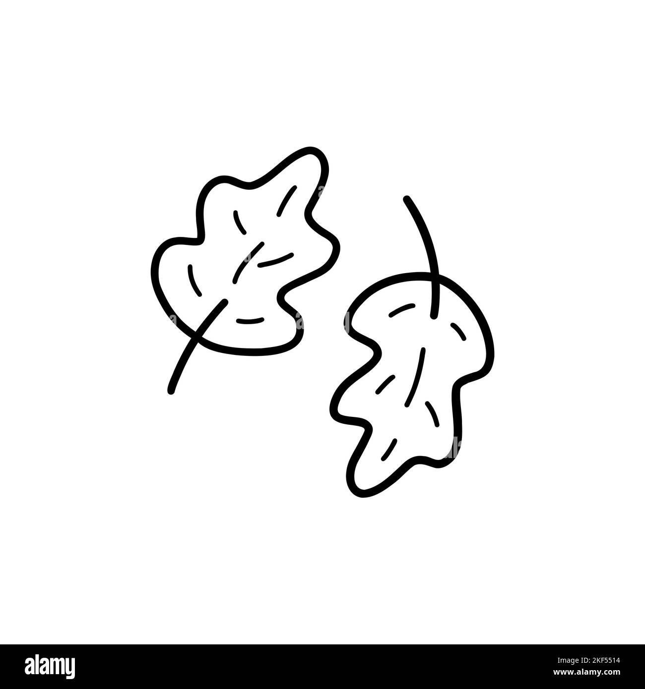 Set of autumn fallen oak leaves. Black and white vector isolated ...