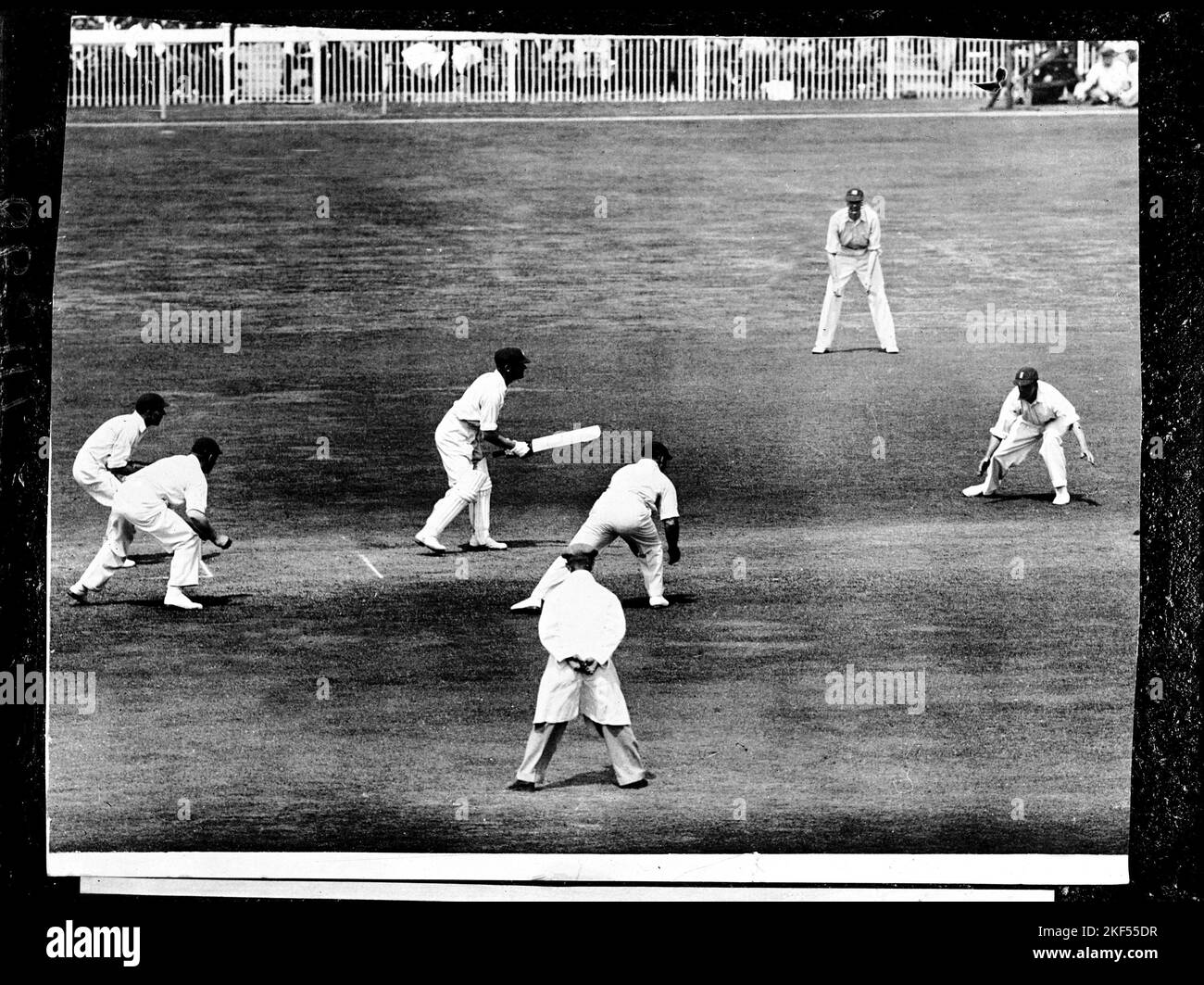 Bill Woodfull of Australia batting Stock Photo - Alamy
