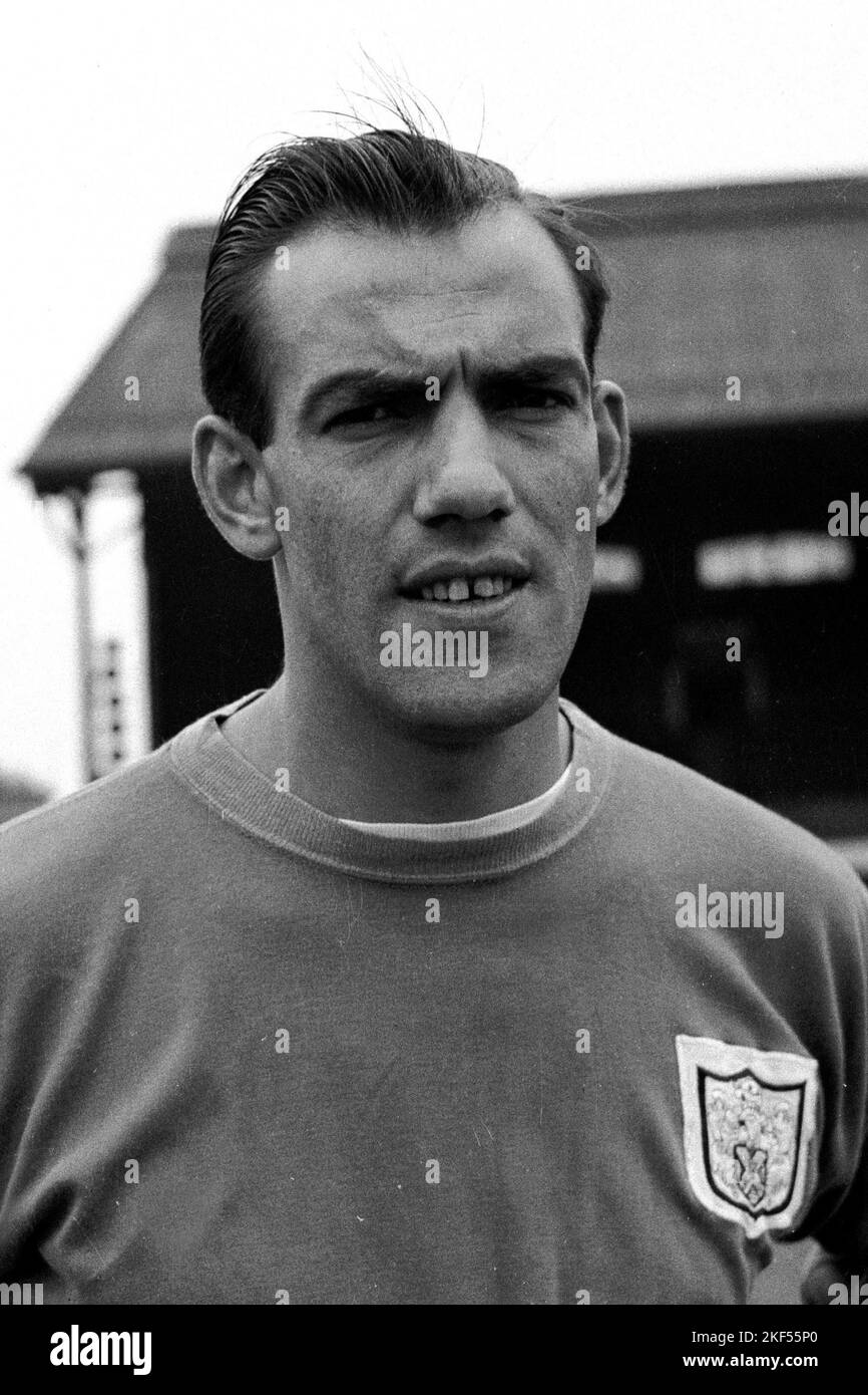 Tony Macedo, Fulham goalkeeper Stock Photo - Alamy
