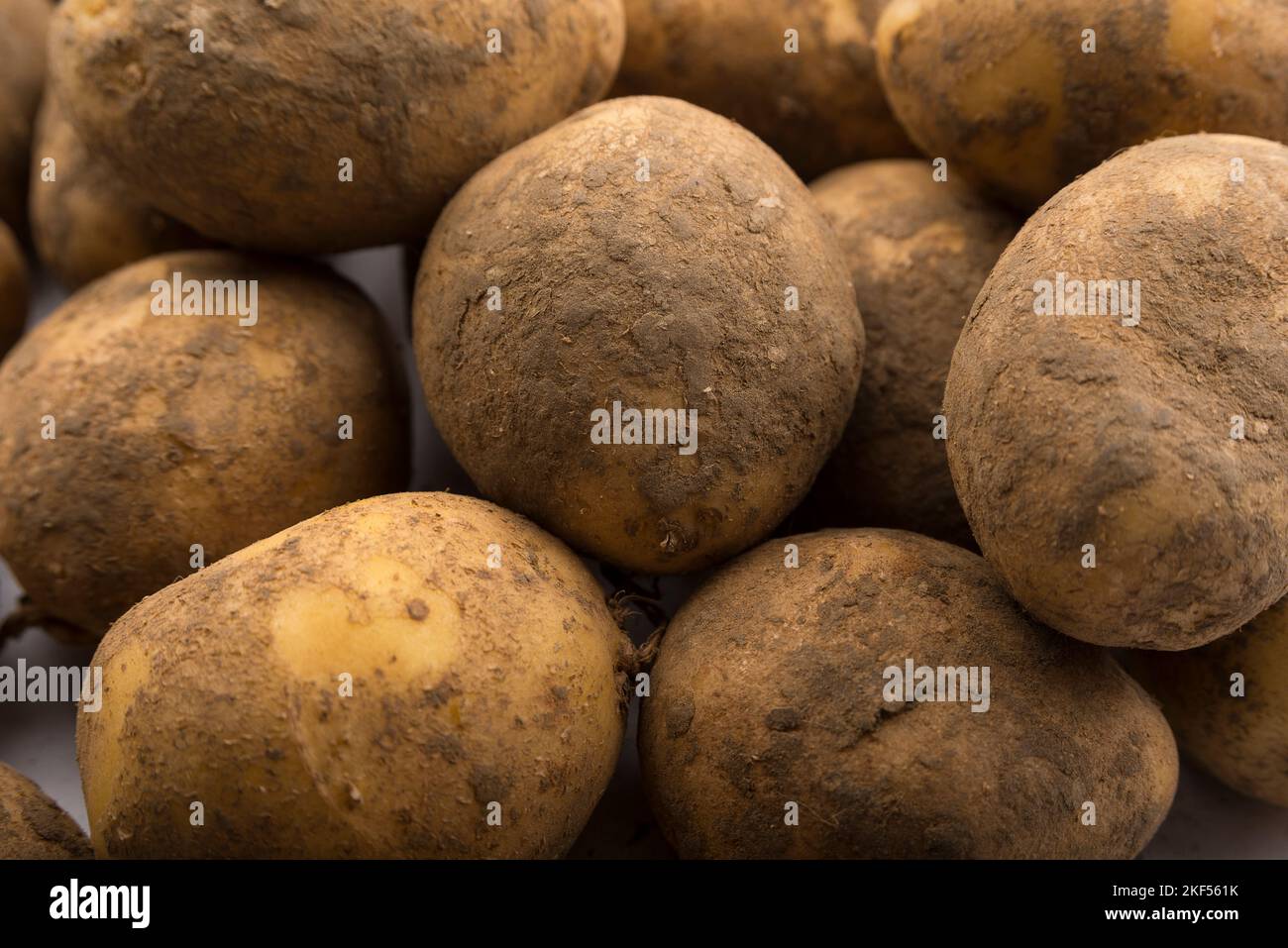 Stack of unwashed potatoes on a white background Stock Photo - Alamy