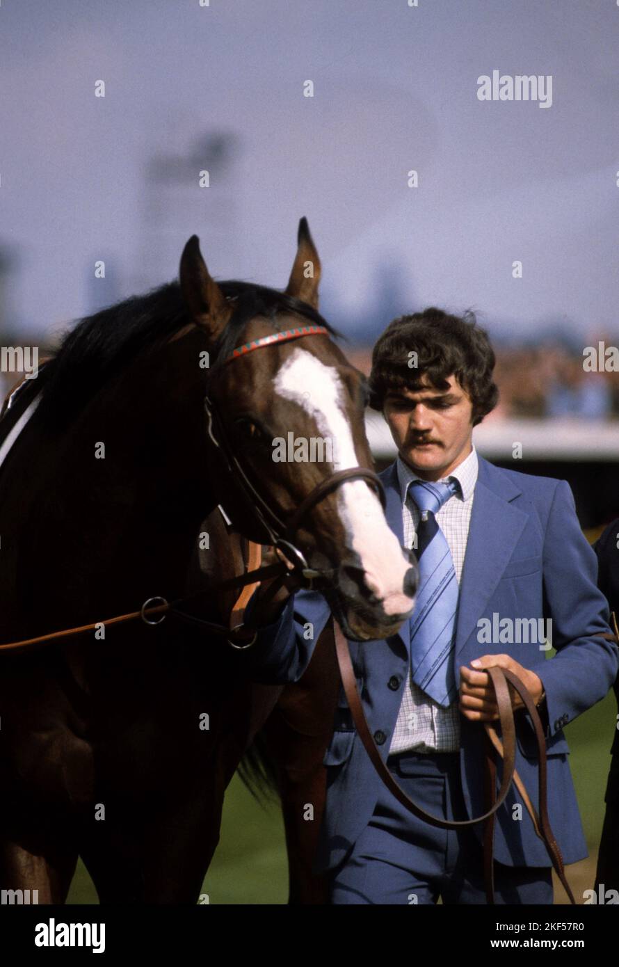 Shergar being paraded around the course before the start of the St ...