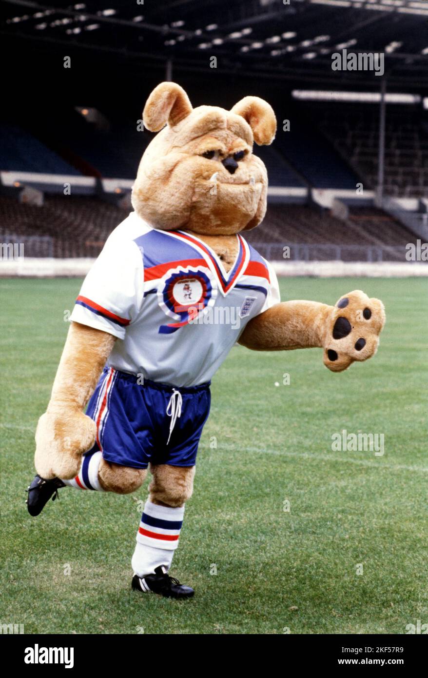 The England World Cup mascot for Spain 82 - Bulldog Bobby Stock Photo ...