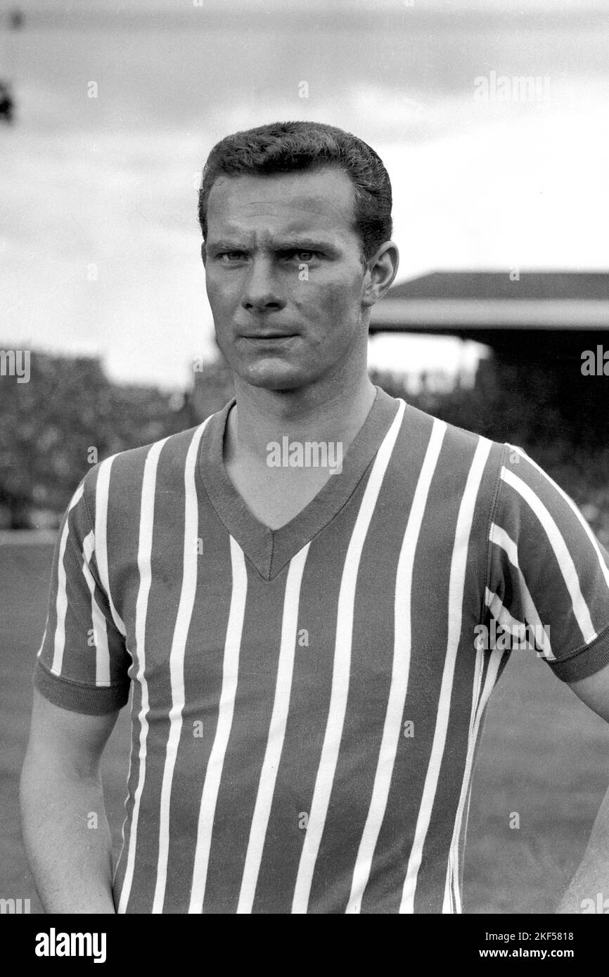 David Layne, Sheffield Wednesday Stock Photo - Alamy