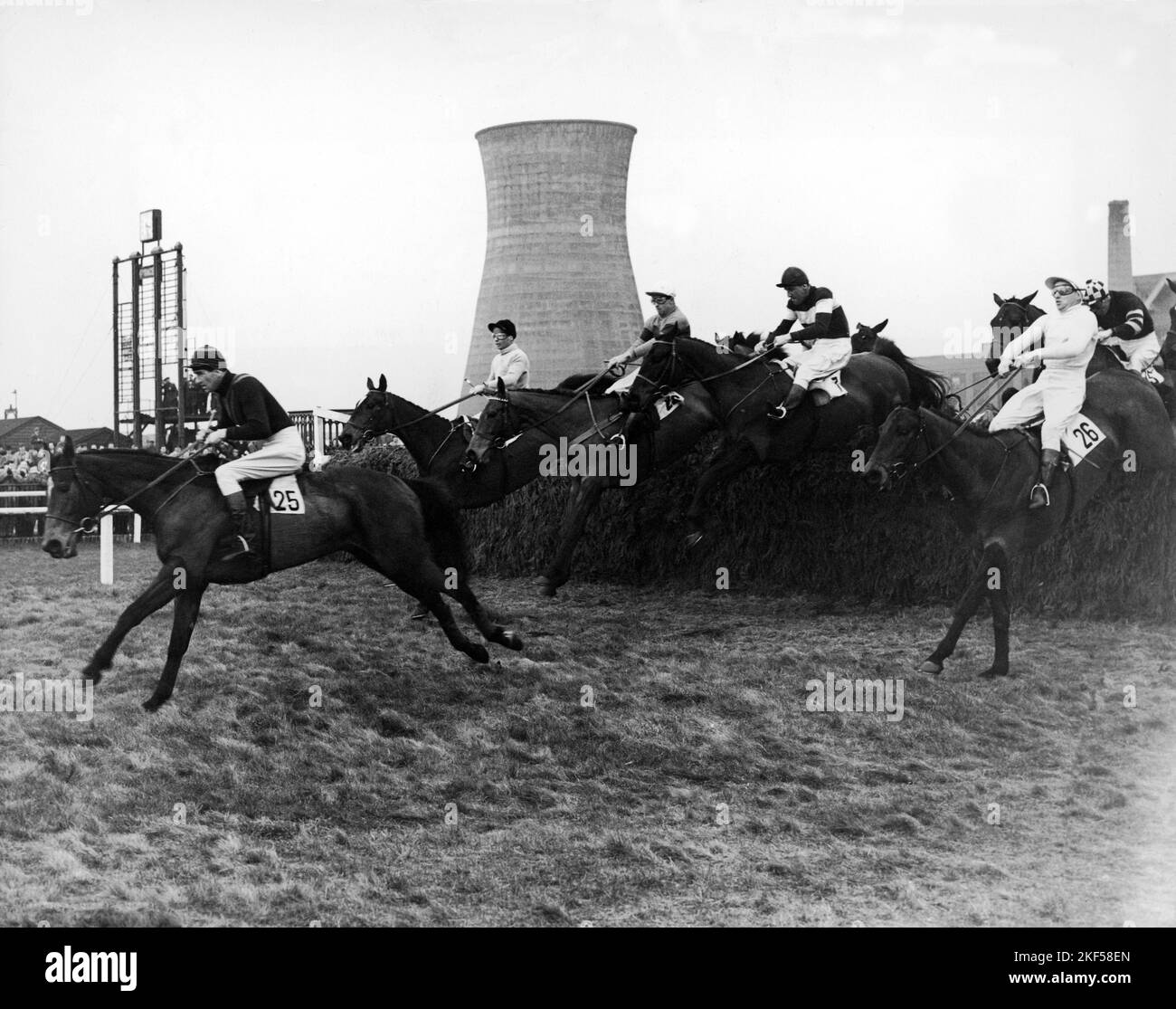 (L-R) Eagle Lodge leads from Devon Loch (Dick Francis), Gentle Moya (G ...