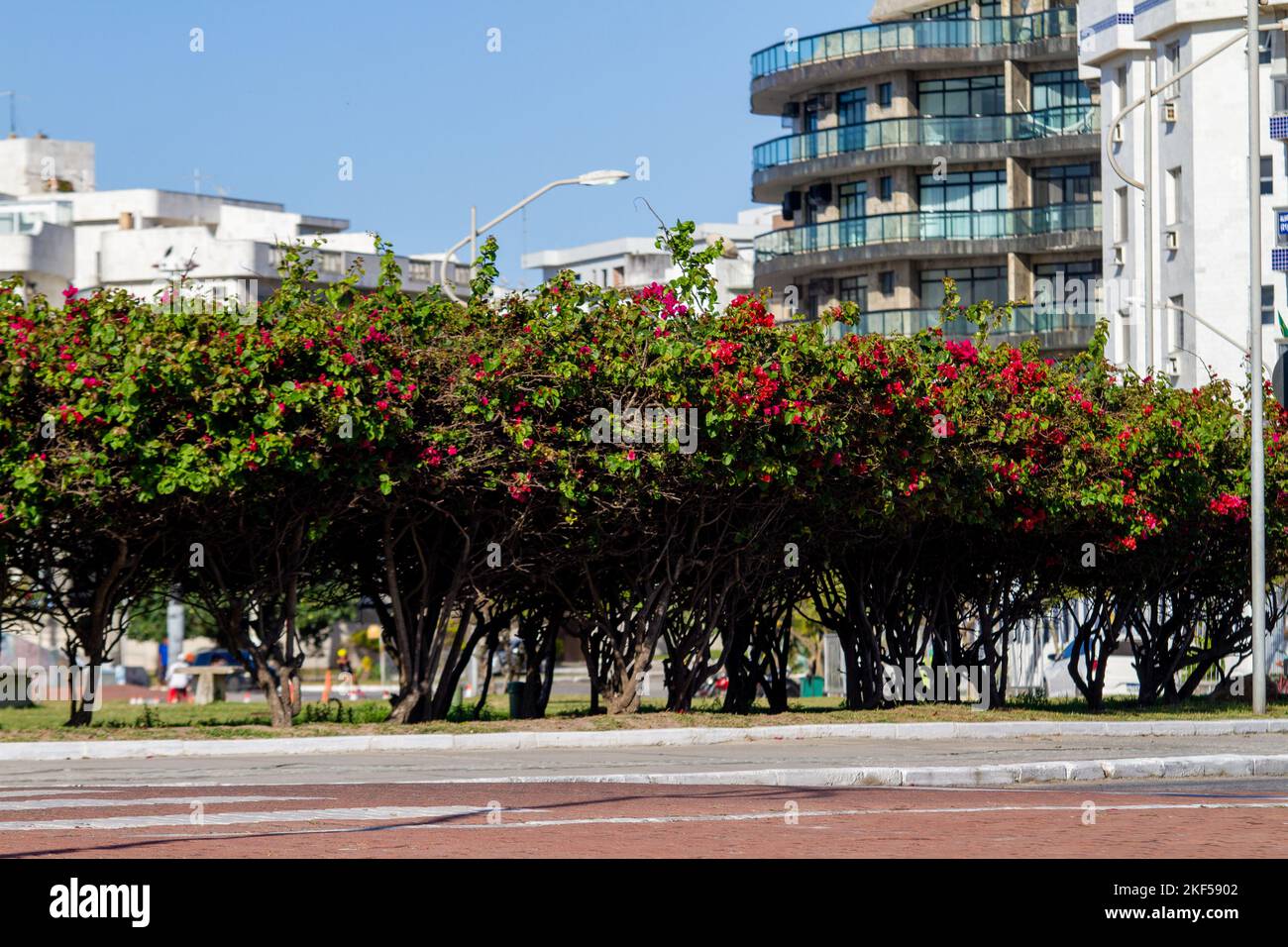 view of the strong beach at Cabo Frio in Rio de Janeiro, Brazil Stock ...