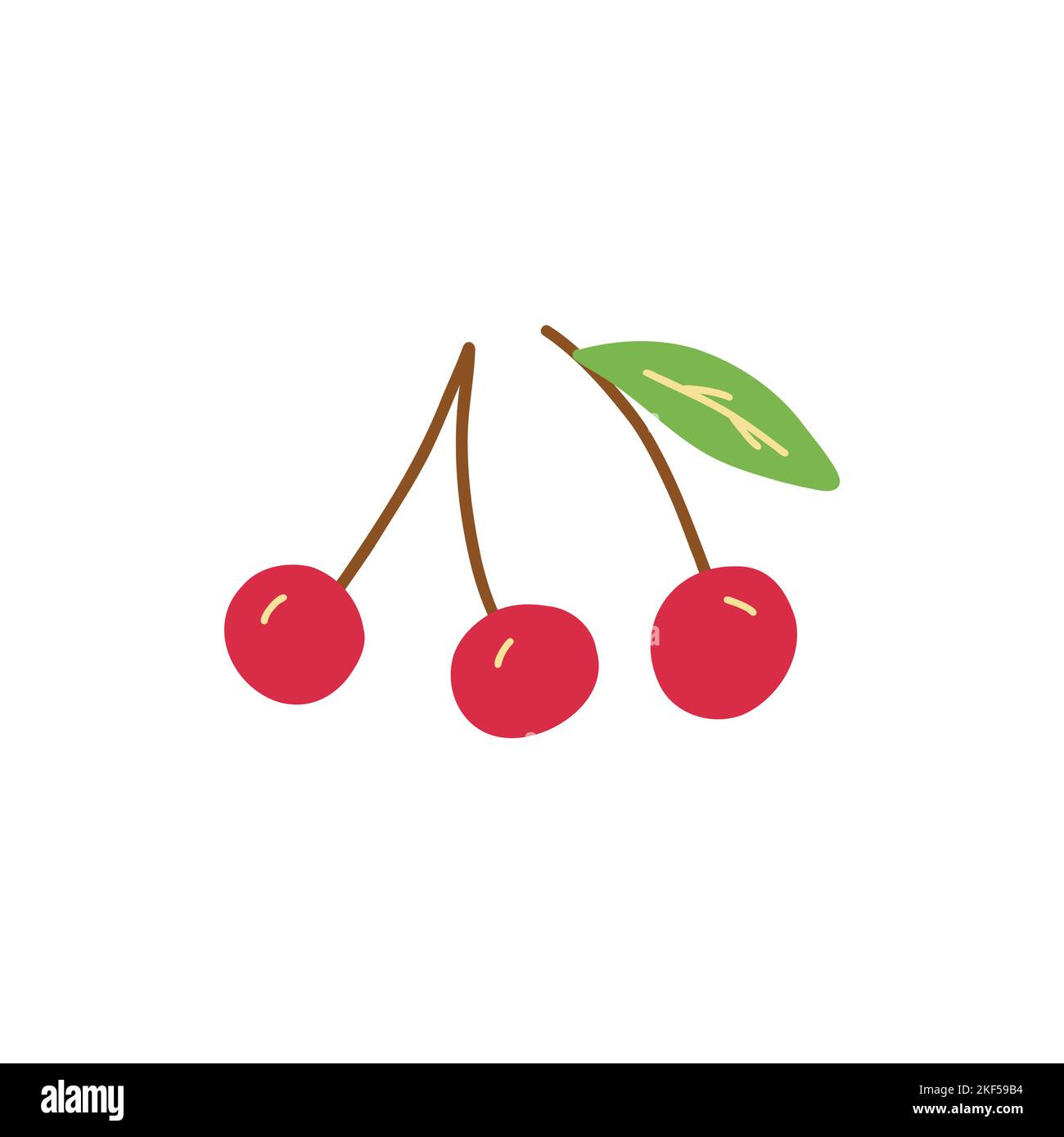 Three ripe red cherries on a white background. Colorful vector isolated ...