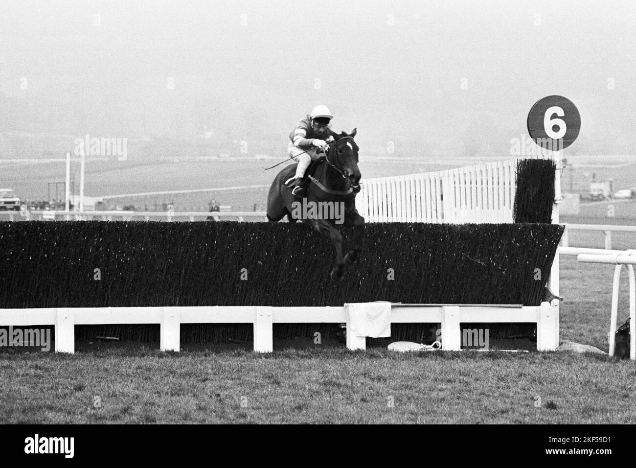 Anaglogs Daughter, T. Carberry up, jumps the last fence to win The ...
