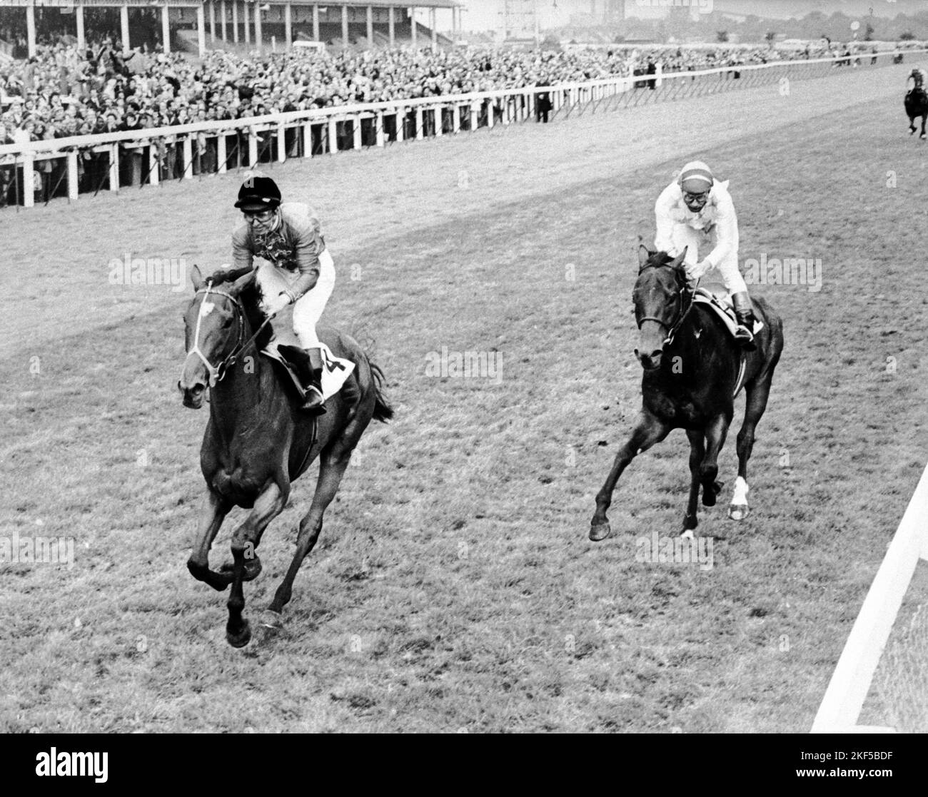 (L-R) Dunfermline, Willie Carson up, wins The St Leger from Alleged ...