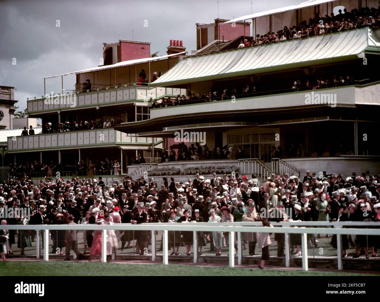 The Royal Box and grandstand at Ascot Stock Photo - Alamy