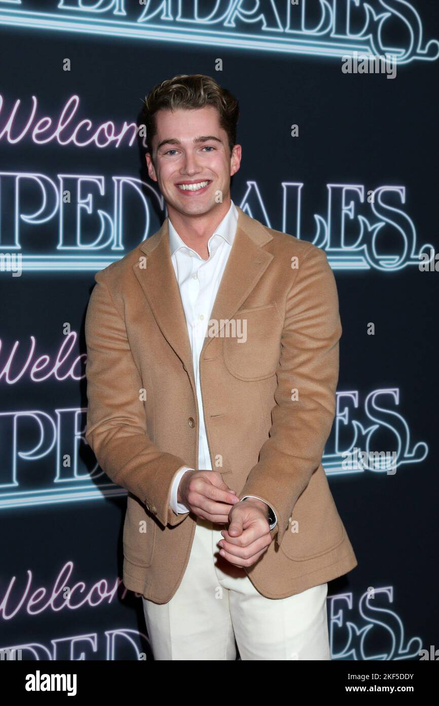 Los Angeles, CA. 15th Nov, 2022. AJ Pritchard at arrivals for WELCOME ...