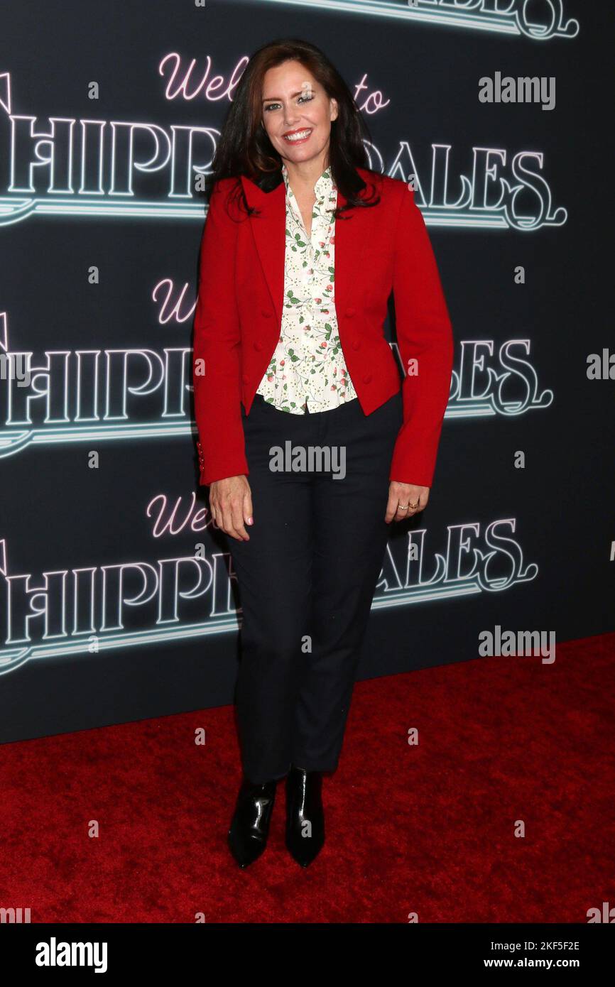 Los Angeles, CA. 15th Nov, 2022. Ione Skye at arrivals for WELCOME TO CHIPPENDALES Premiere ...