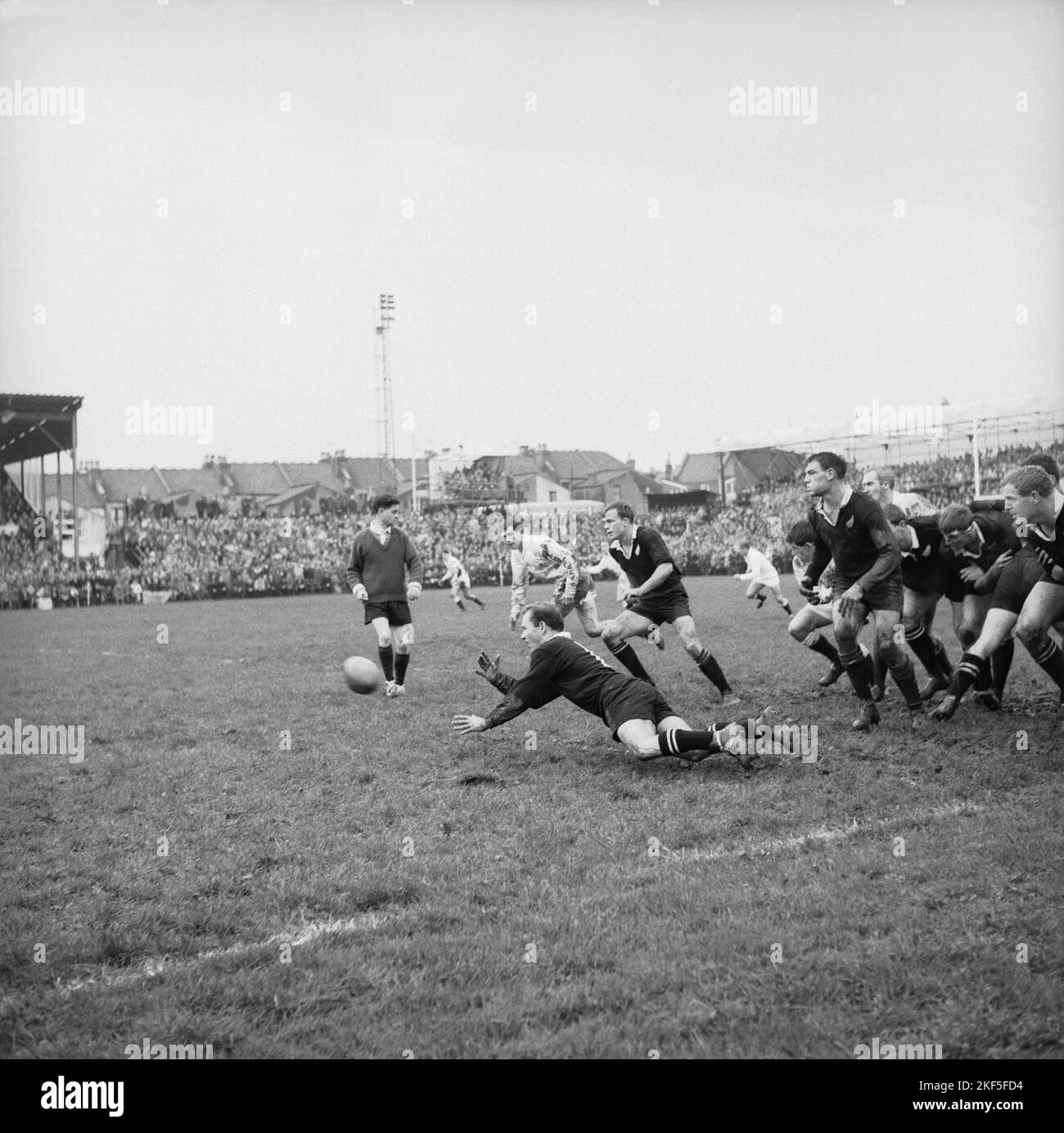 New Zealand scrum half Sid Going (diving) feeds his backs from a scrum ...